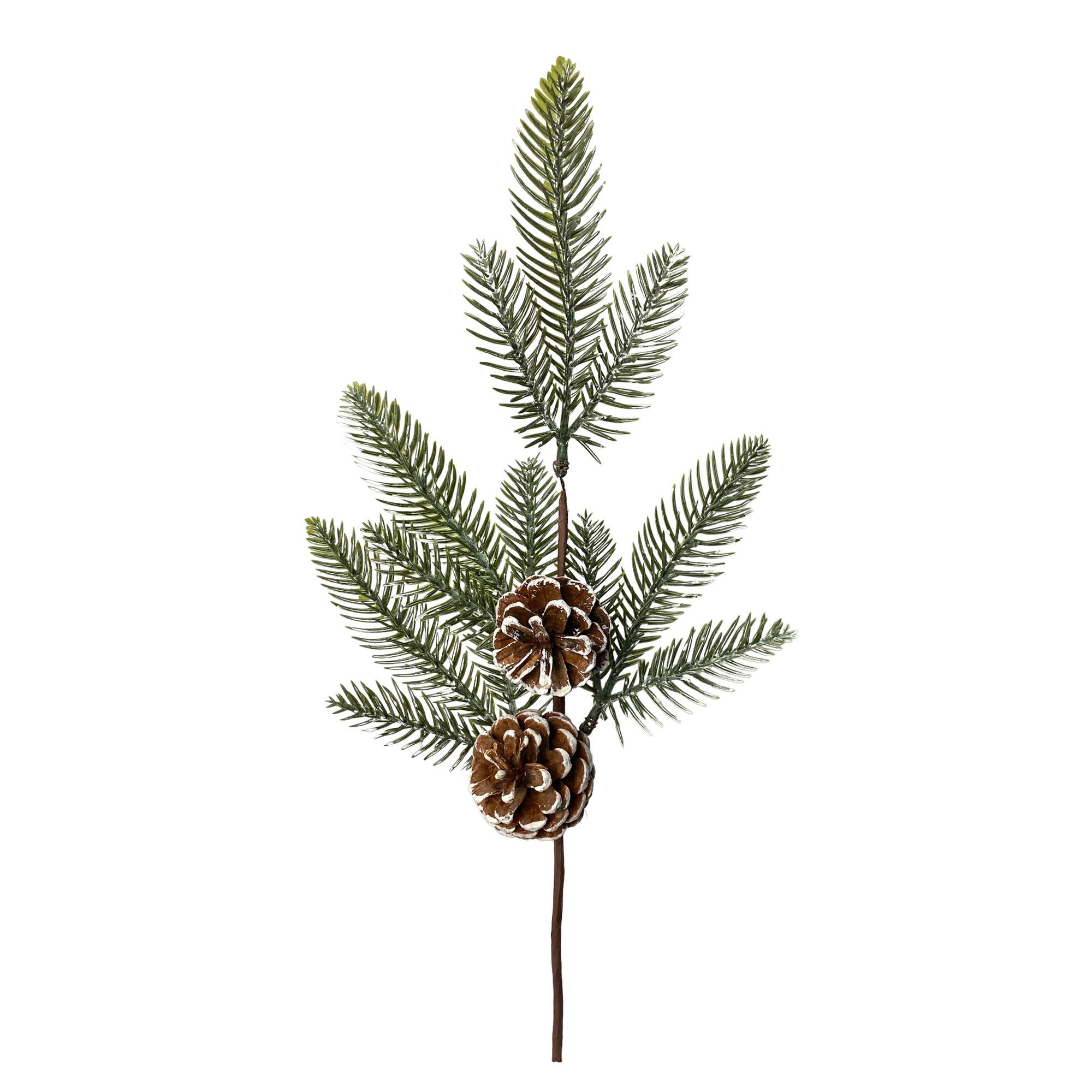 RAMA DECOR 45XCM - Noritex