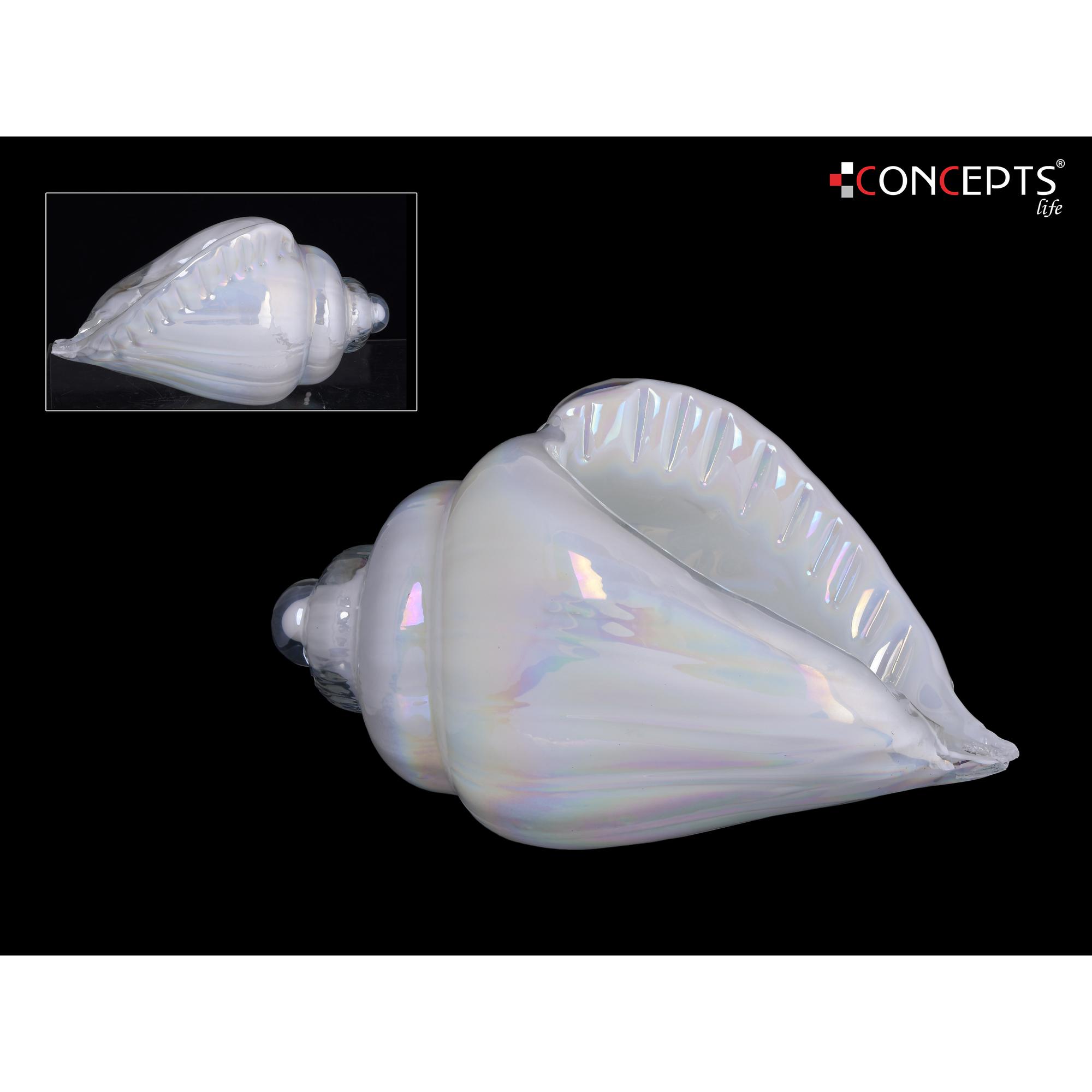 CONCHA DECOR 26X 13X 13 CM - Noritex