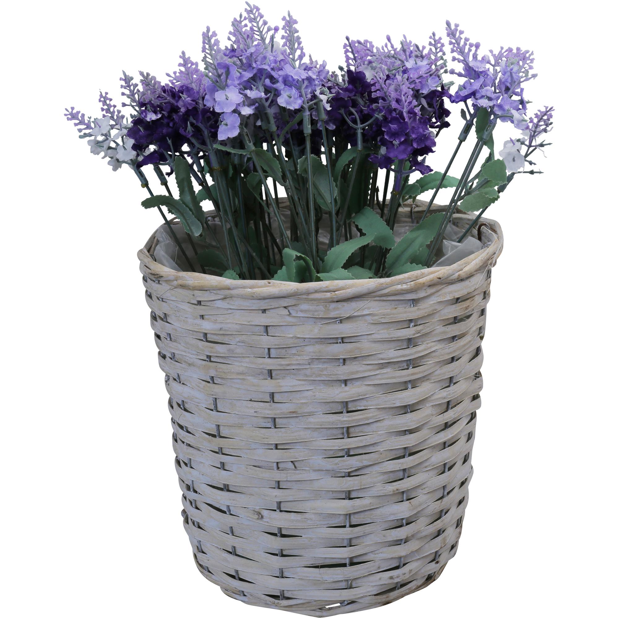 CESTA CON PLANTA 21.5X21.5X33C - Noritex