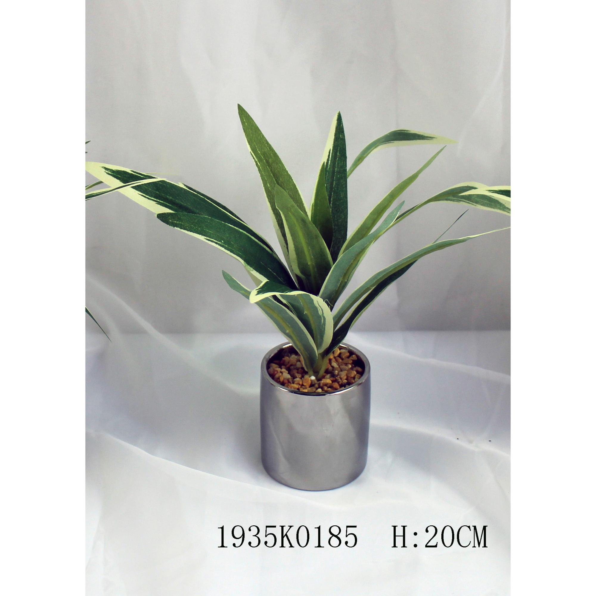 PLANTA C/VASO 20CM - Noritex