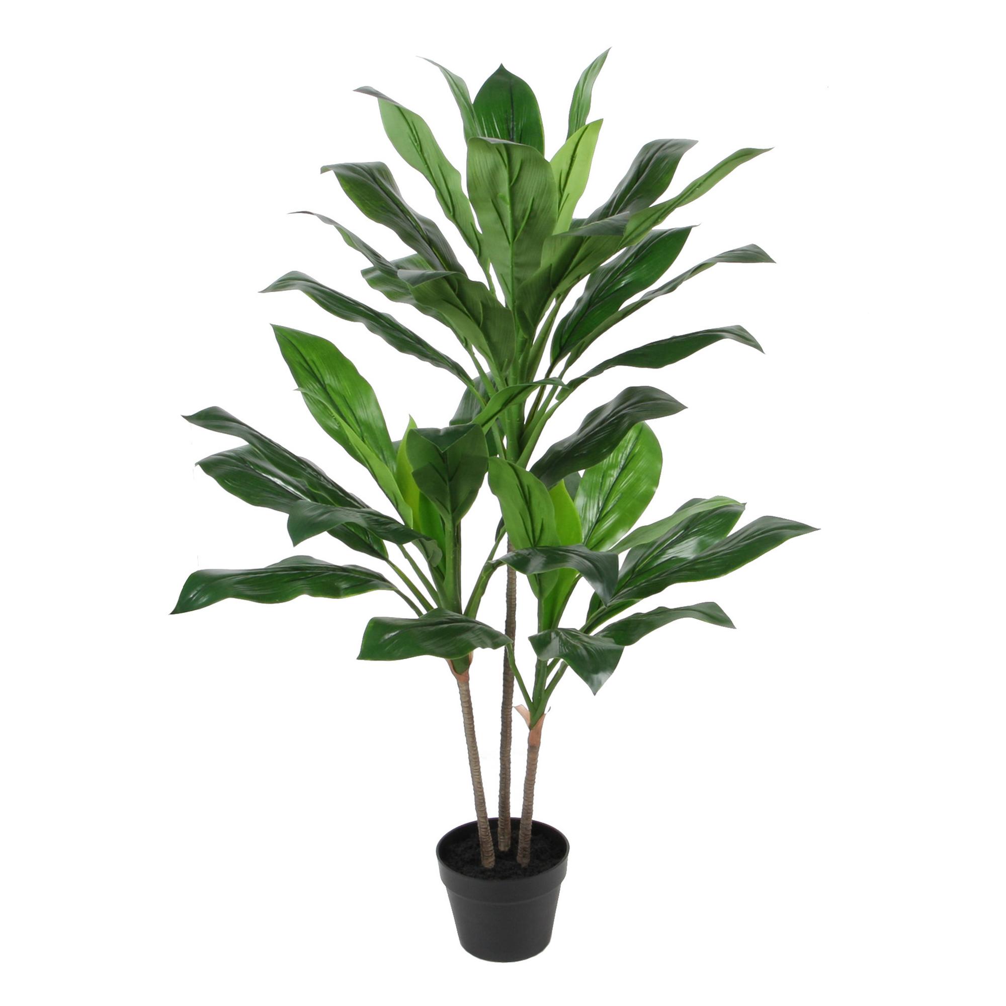 PLANTA C/POTE 120X70X120CM - Noritex